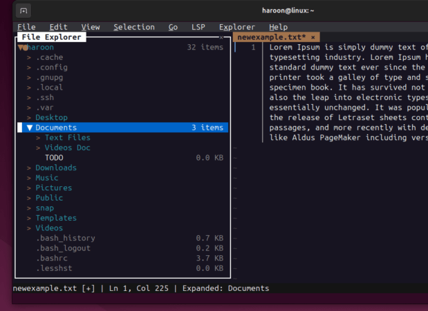 Fresh Adds an Easy-to-use and Powerful Text Editor to the Linux ...